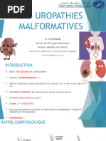Syndrome de la Jonction Pyelo-Uréterale | PDF | Rein | Spécialités ...