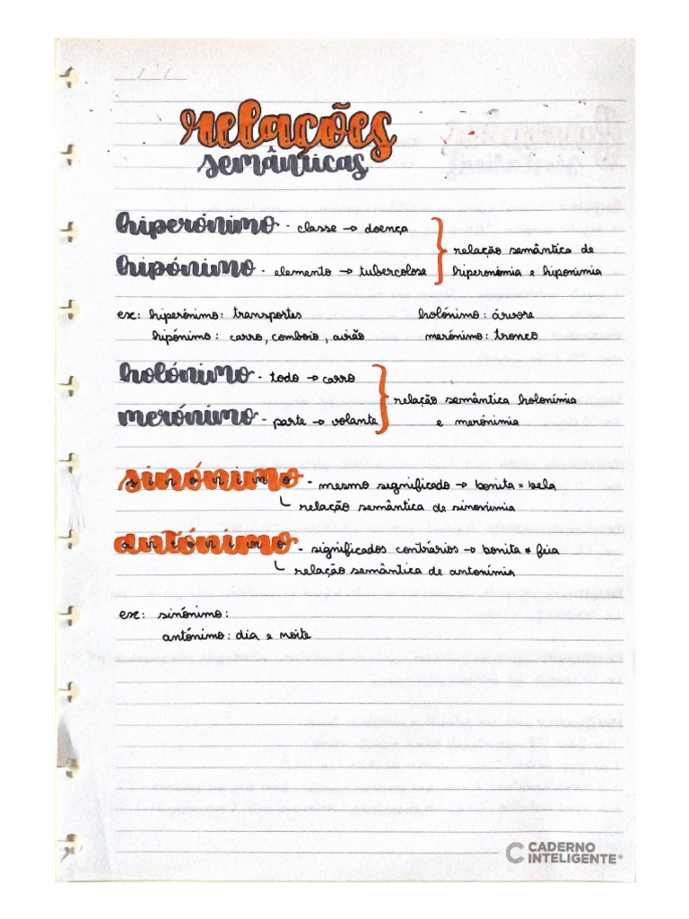 Resumos Gramatica | PDF