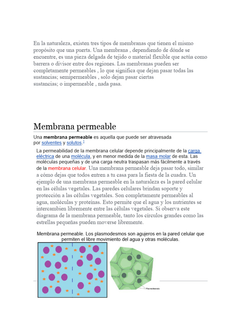 Membranas Permeables , Impermeables,Semipermeables Naturales ...
