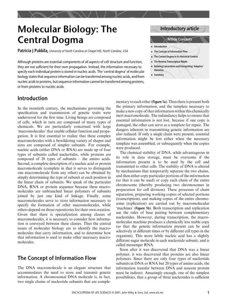 The Central Dogma | PDF | Macromolecules | Nucleic Acid Sequence