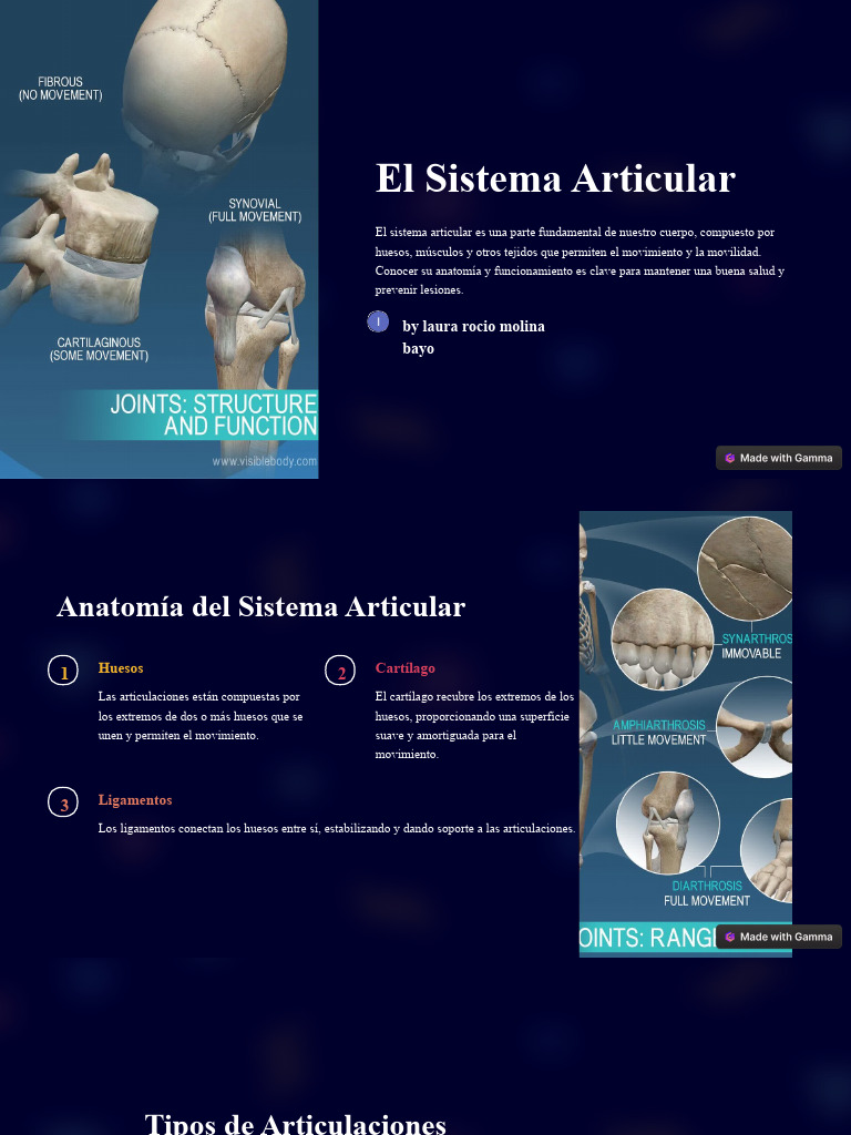 El Sistema Articular | Descargar gratis PDF | Articulación | Hueso