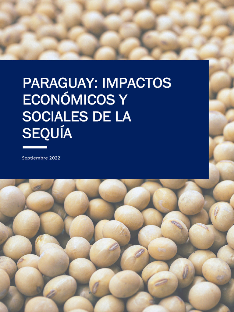UNDP PY Paraguay Impactos Economicos y Sociales de La Sequia | PDF ...