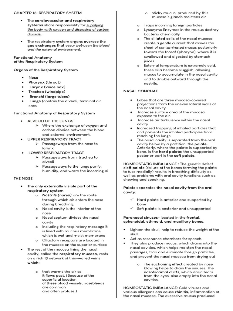 RESPIRATORY | PDF | Respiratory Tract | Lung