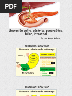 TANACOL | PDF | Drogas | Farmacología