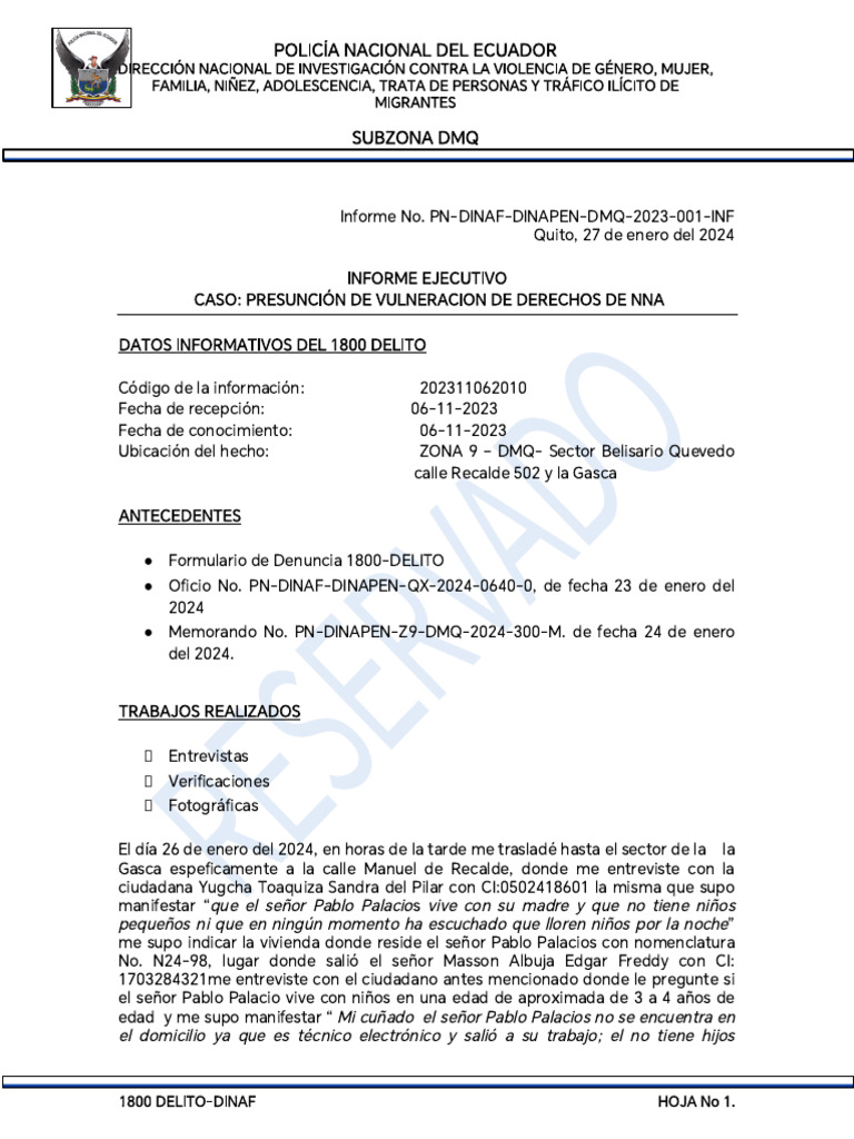 Formato_IE - FORMATO INFORME PARA 1800DELITO | PDF | Crímenes | Crimen ...