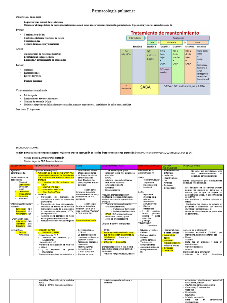 Bronco Dilat Adores | PDF | Asma | Medicina CLINICA