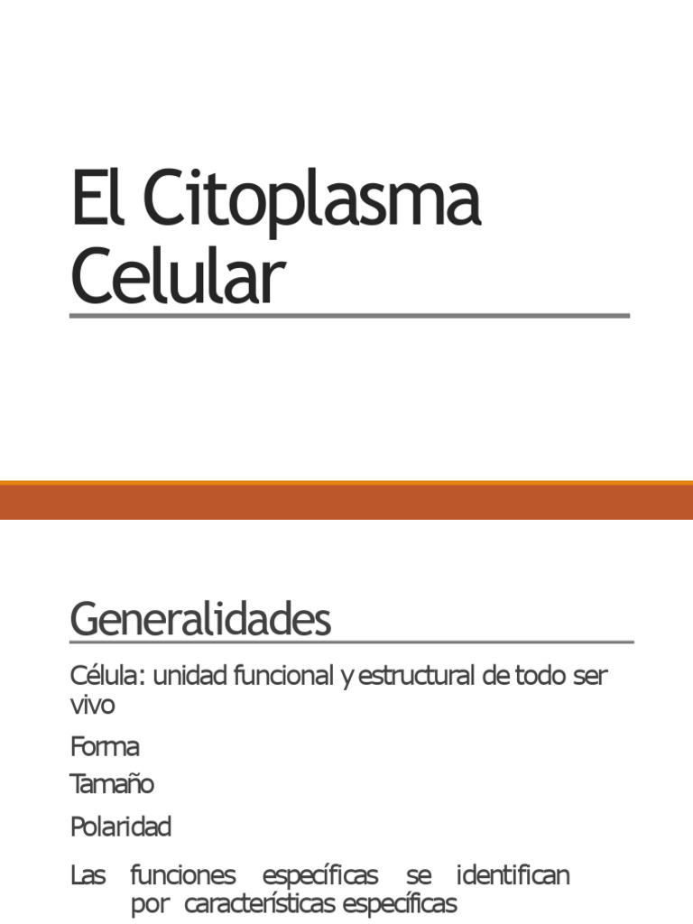Estructura y Función del Citoplasma | PDF | Citoplasma | Retículo endoplásmico