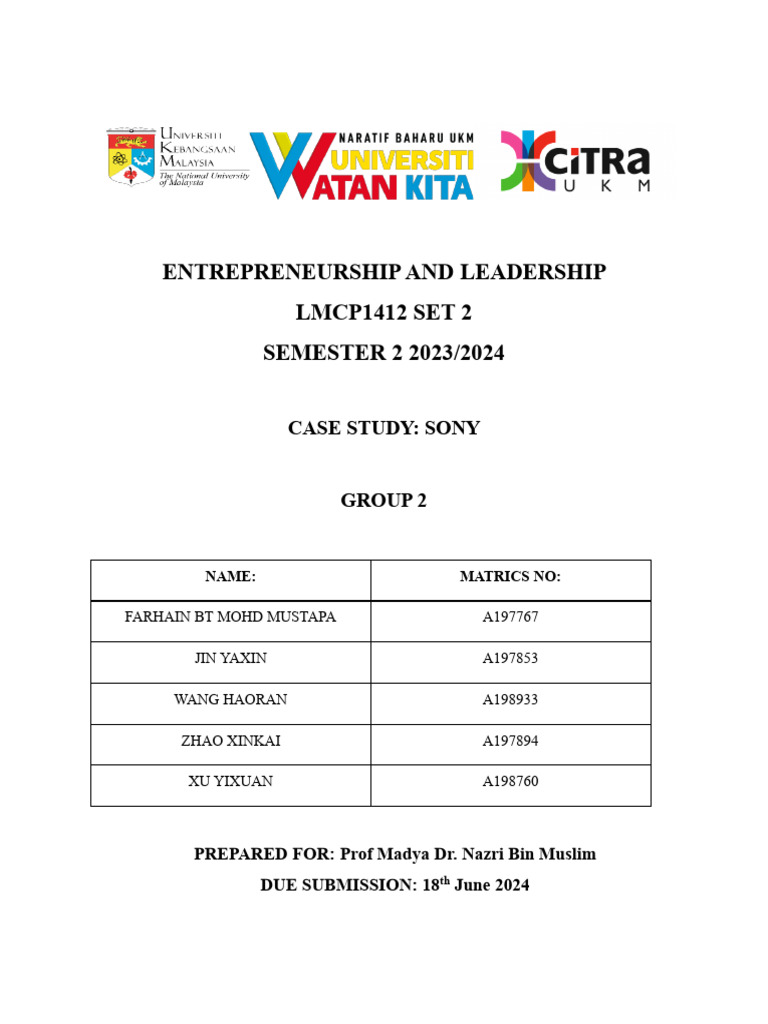 Case Study Report | PDF | Sony | Innovation