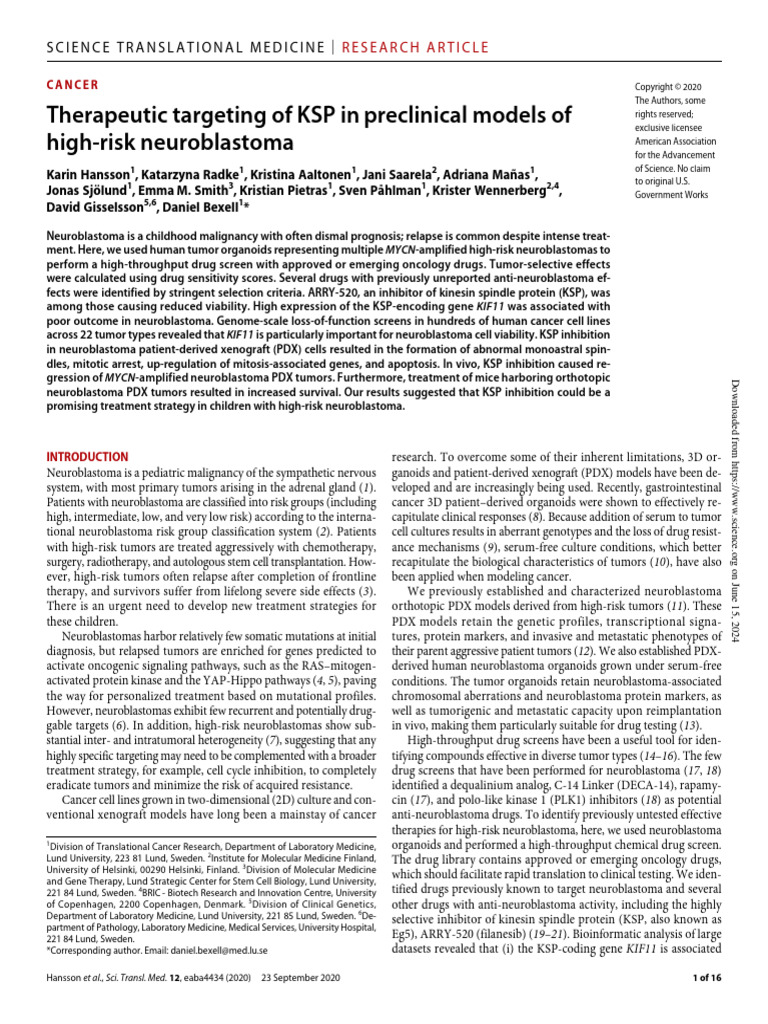 Therapeutic targeting of KSP in preclinical models of high-risk ...
