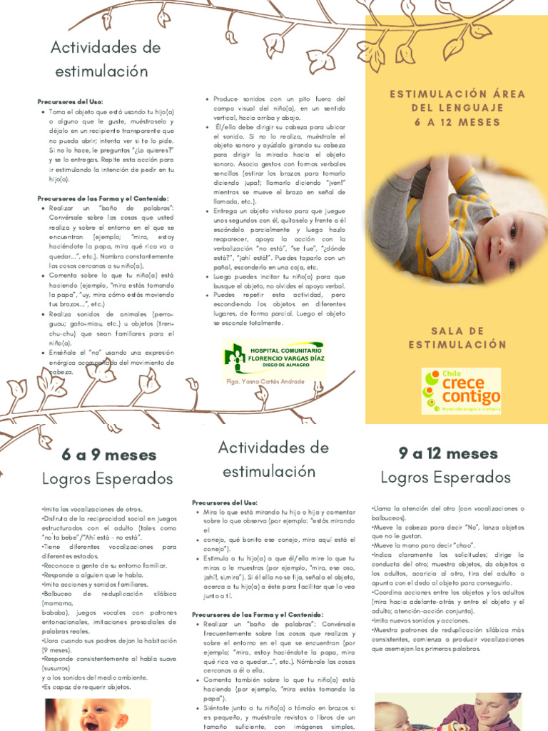 6 A 12 Meses | PDF