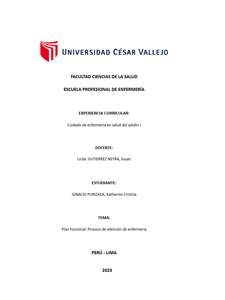 Plan Funcional | PDF | Historial médico | Dolor