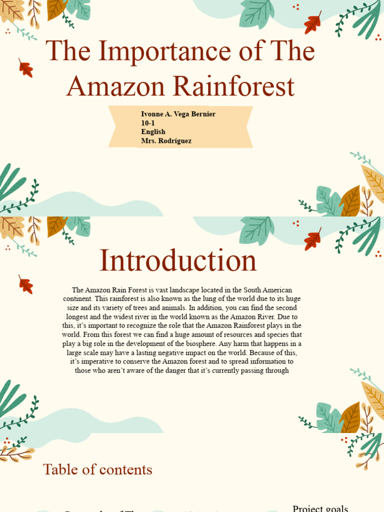 Importance of the Amazon Rainforest | PDF | Planets | Solar System