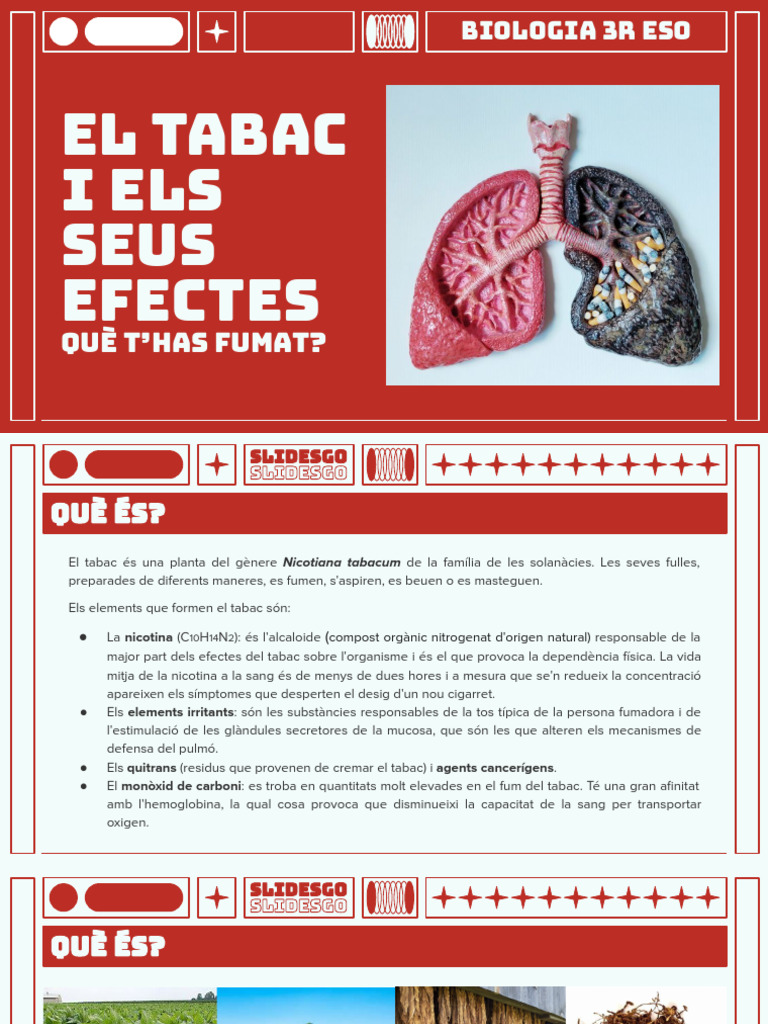 Tabac 3r Eso | PDF