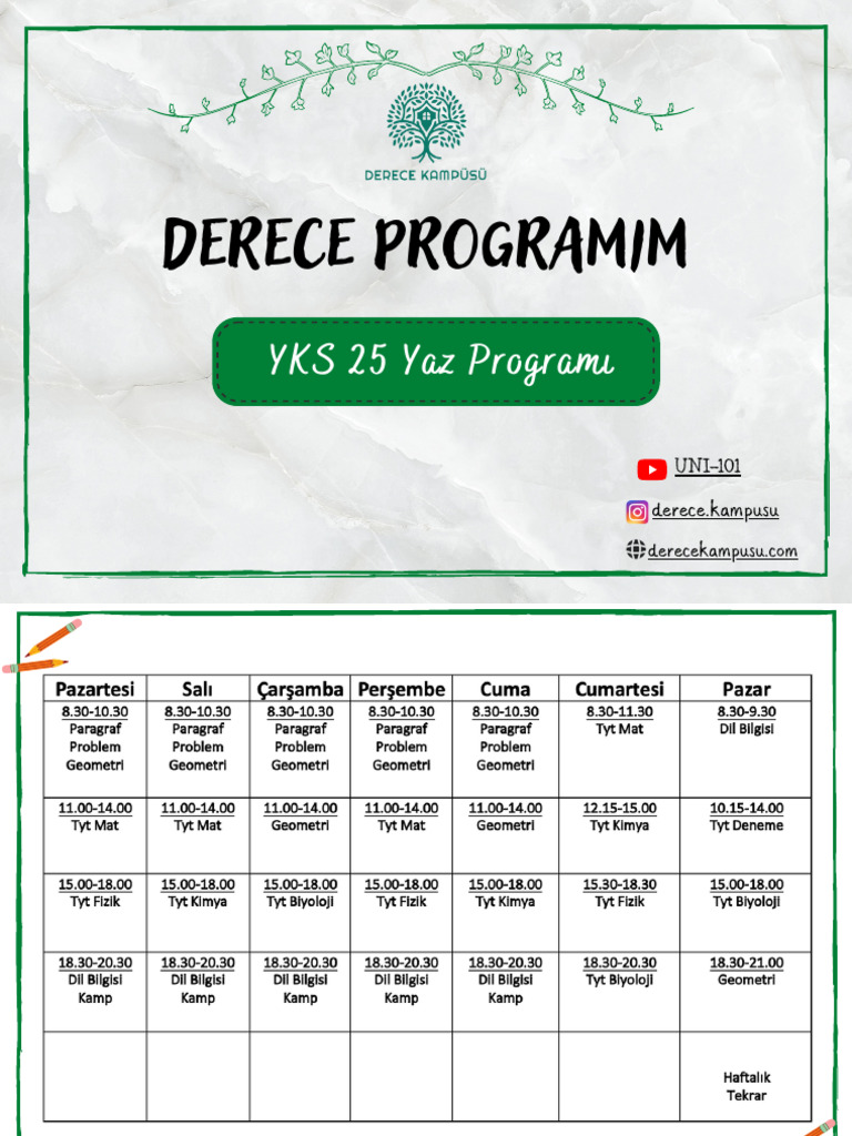 YKS 25 Yaz Programı | PDF