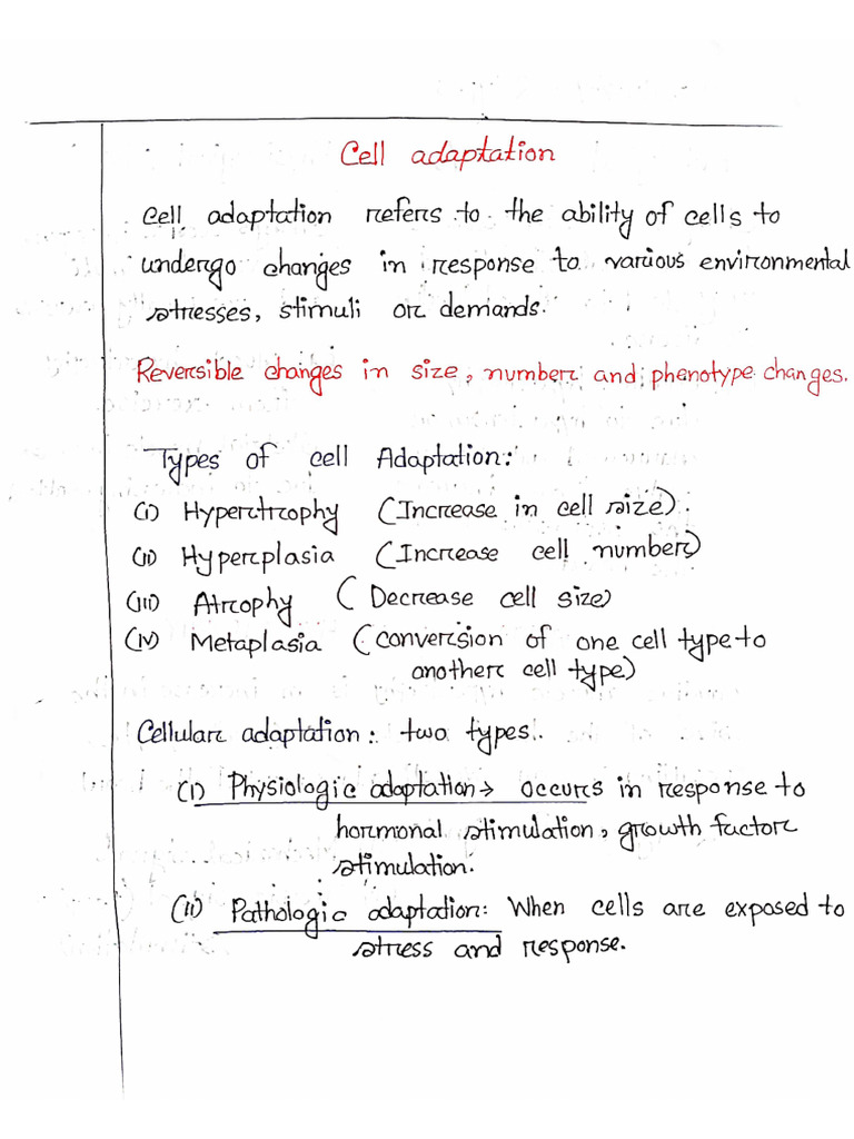 Cell Adaptation | PDF