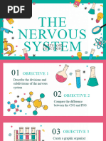 Nervous System Breakdown Activity Sheet | PDF
