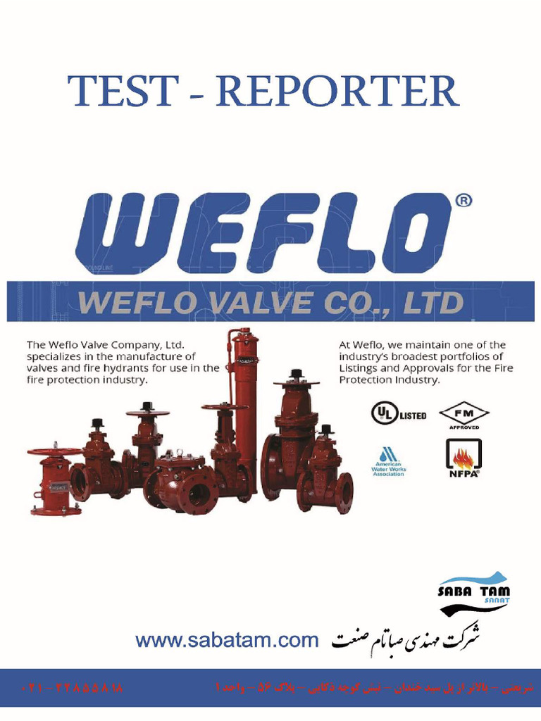 Weflo Test-Reporter | PDF