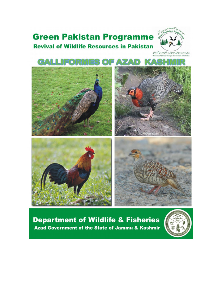 Galliformes of AJK | PDF | Galliformes | Phasianidae