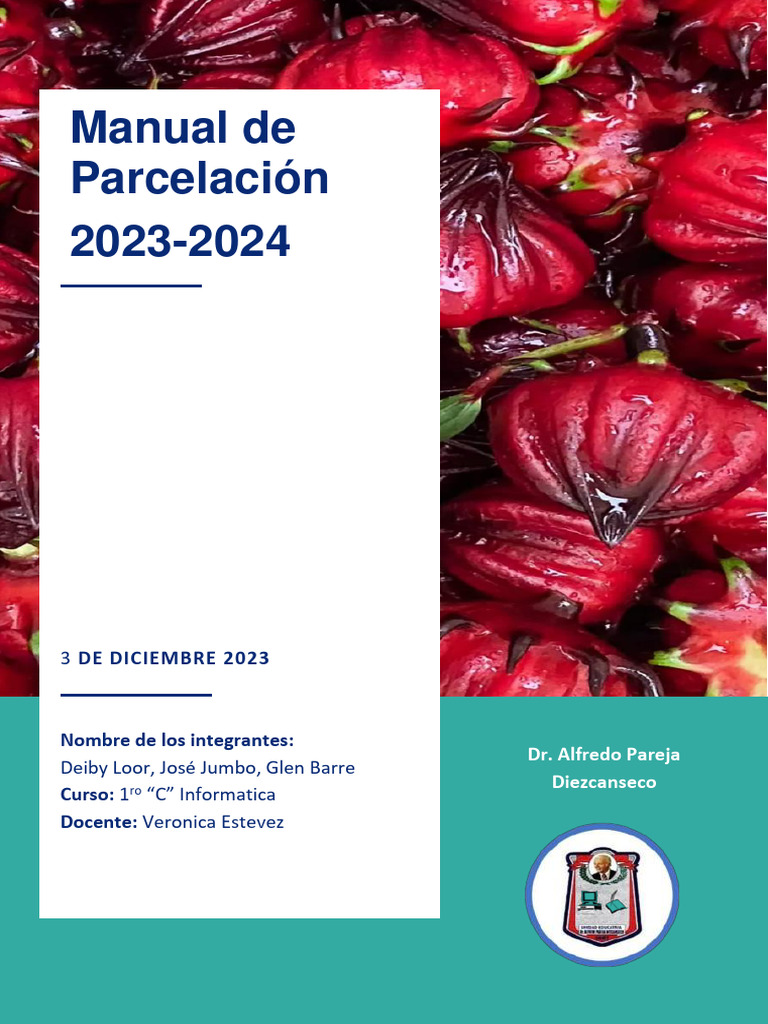 Manual de Parcelaciòn | PDF | Programa de computadora | Programación