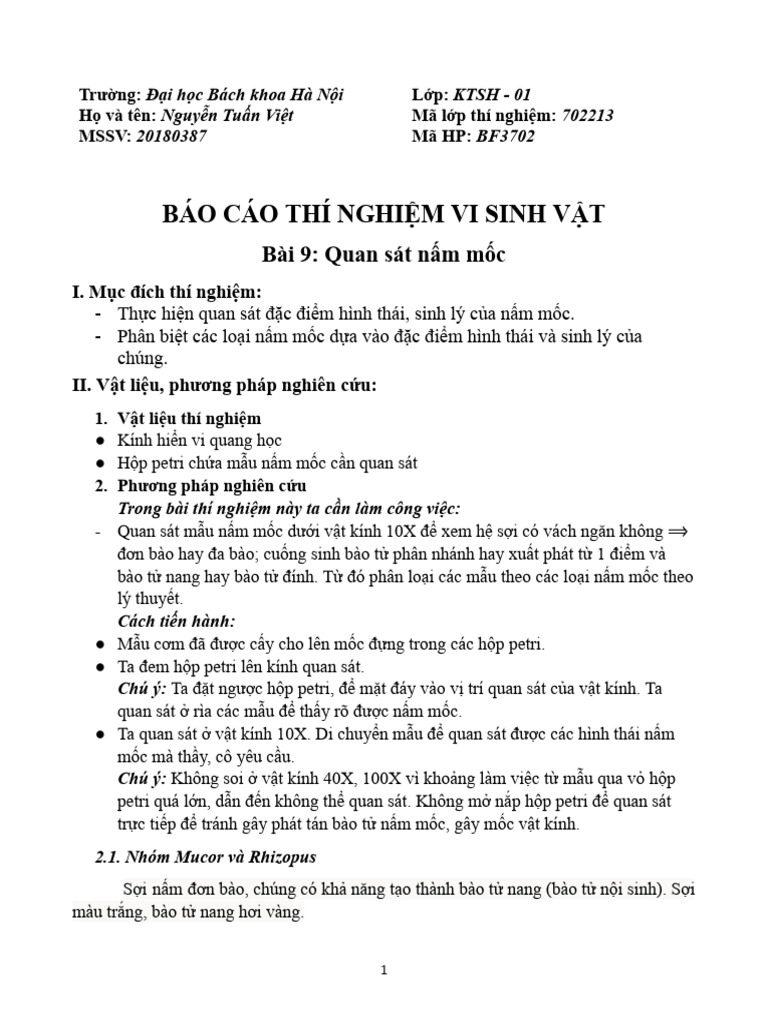 Báo Cáo TN VSV Bài 9 | PDF