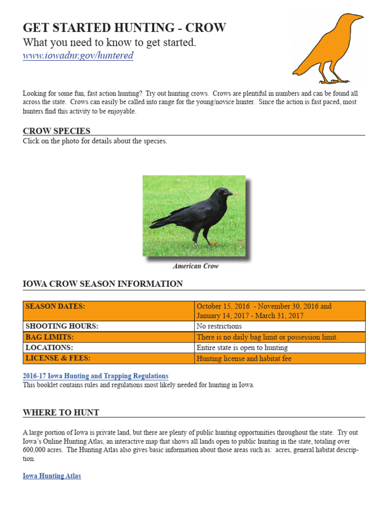 Crow Hunting Tips | PDF | Hunting | Shotgun