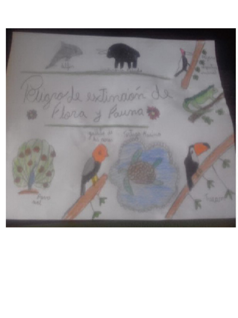 flora y fauna | PDF