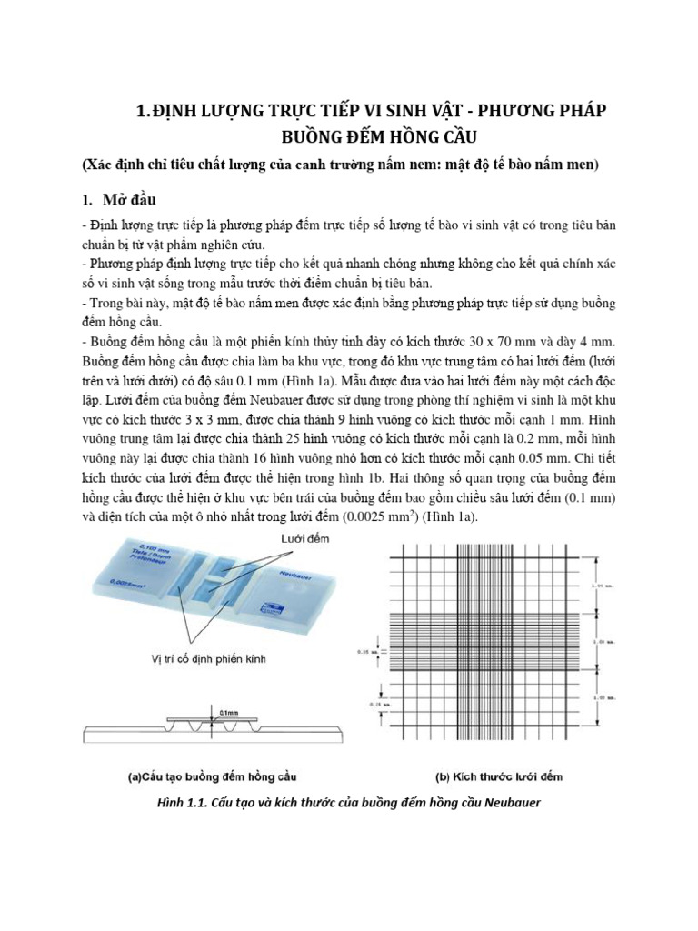 Huong dan thi nghiem vi sinh vat_Quan sat VSV | PDF