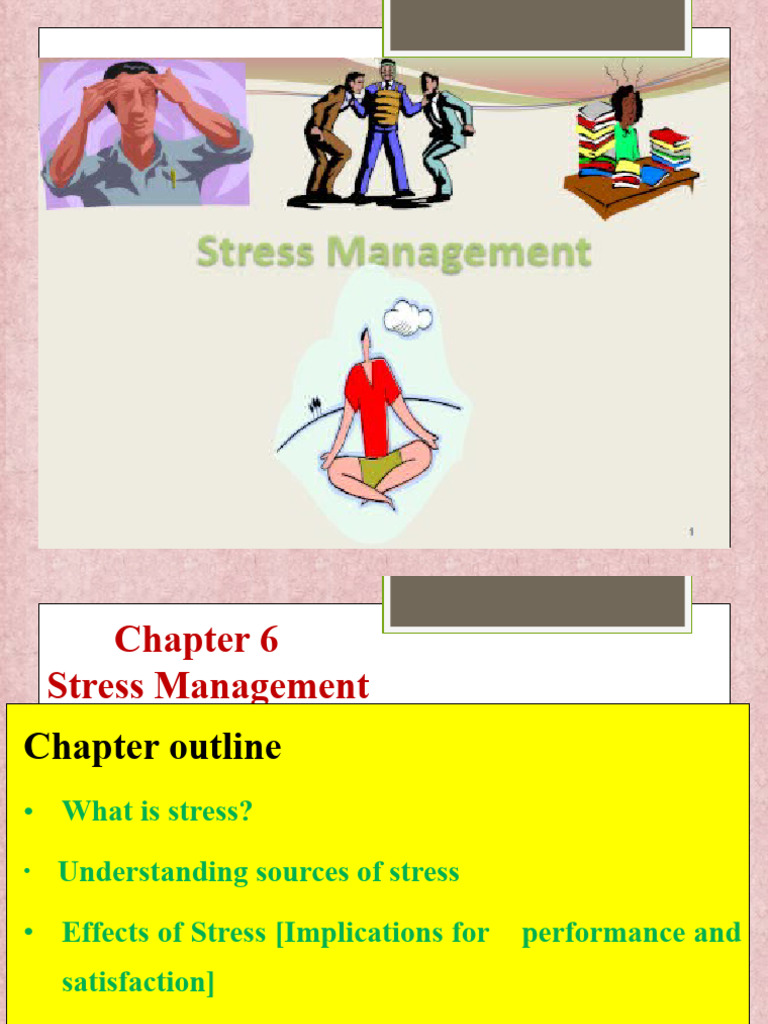 Chapter 6 Stress MGT | PDF | Stress (Biology) | Stress Management