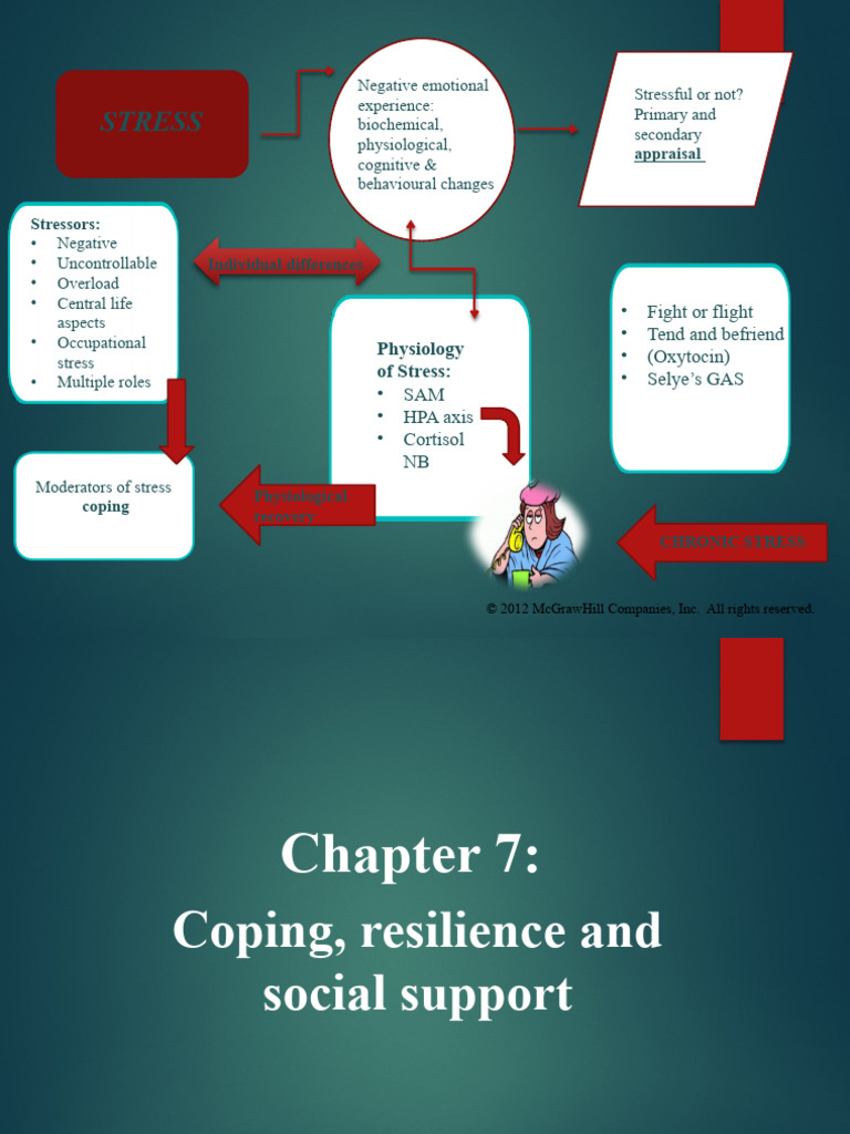 Chapter 7 Student Notes | PDF | Stress (Biology) | Social Support
