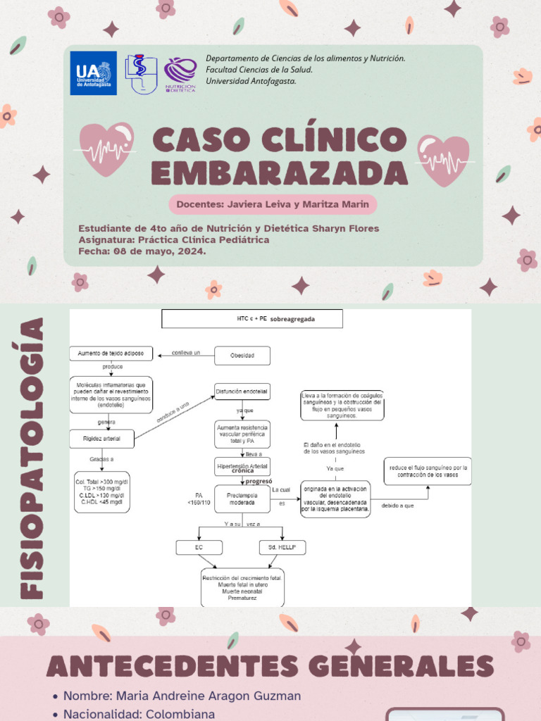 Embarazada 0805 | PDF | El embarazo | Hipertensión