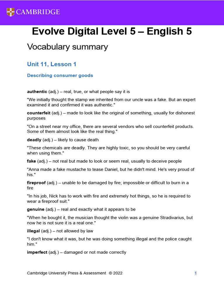 Unit 11 - E5 - Vocabulary | PDF