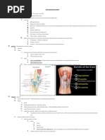 OSCE Knee Examination Checklist | PDF | Knee | Joints
