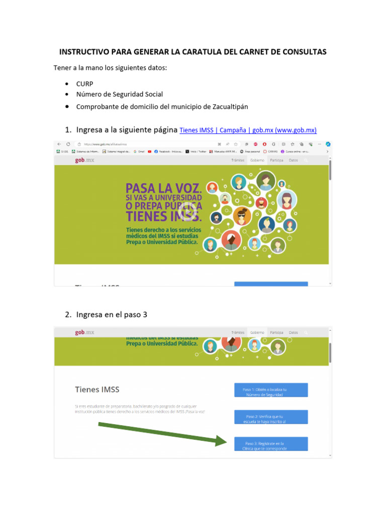 Instructivo Para Generar La Caratula Del Carnet de Consultas | PDF