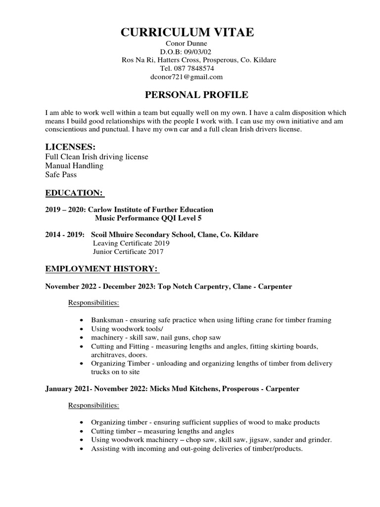 Cv 2024 Pdf Pdf Carpentry