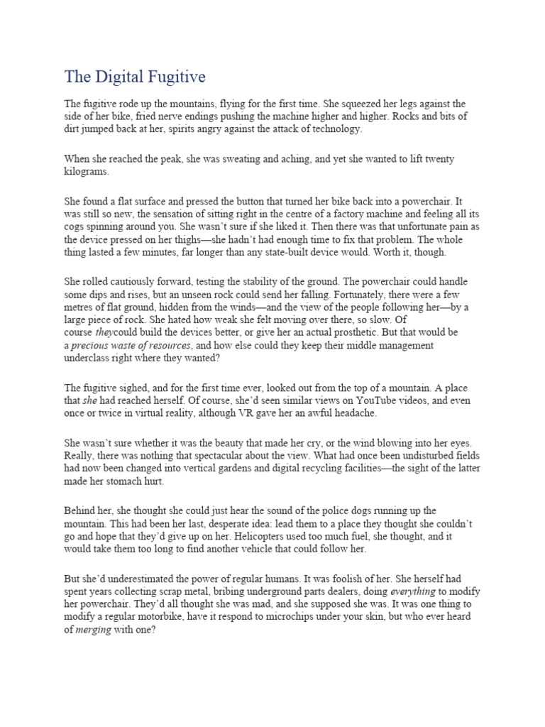 The Digital Fugitive | PDF | Accessibility