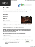 Wild Cat Family List by Lineage - Family | PDF | Felidae | Panthera