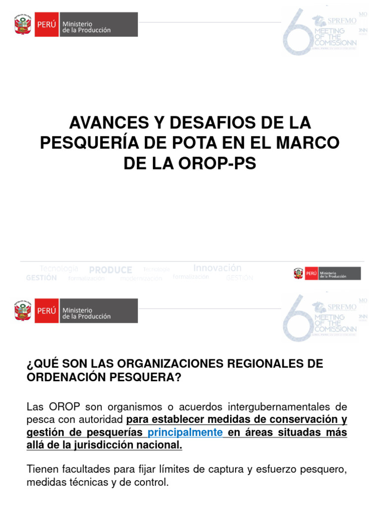 Avances en la Pesquería de Pota OROP-PS | PDF | Pesquería | Ciencias de ...