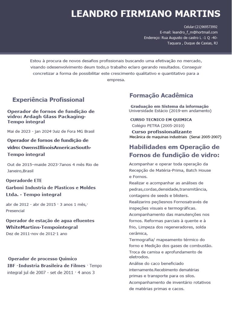 Currículo LEANDRO | PDF | Materiais