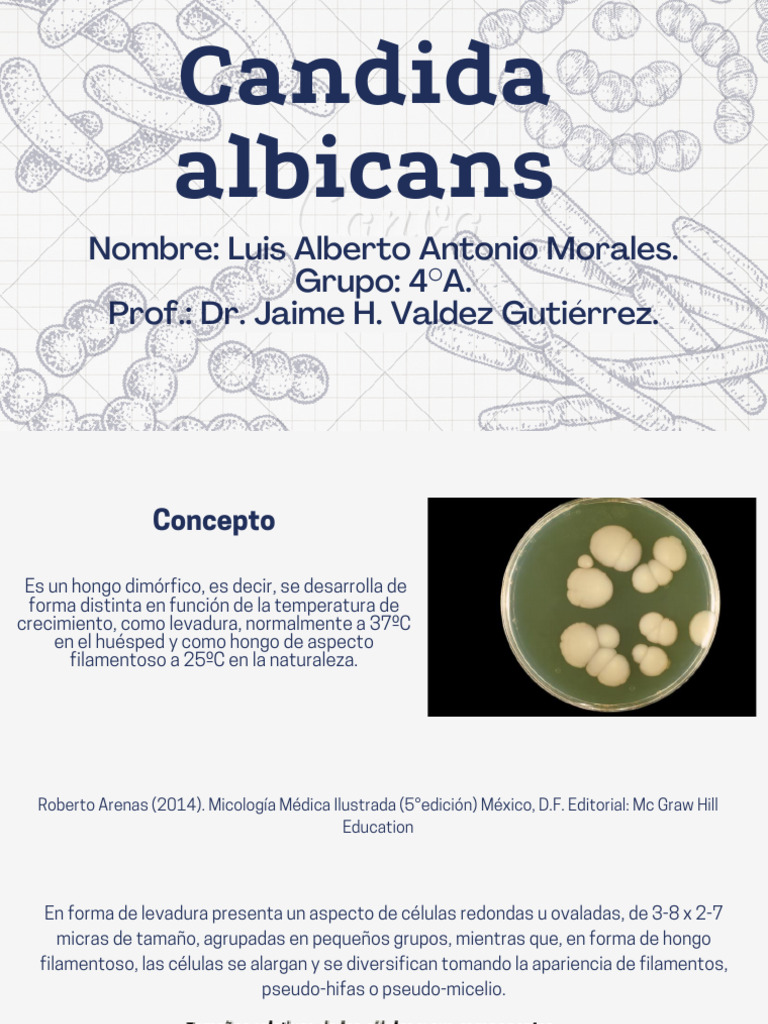 Candida albicans | Descargar gratis PDF | Candidiasis | Biología