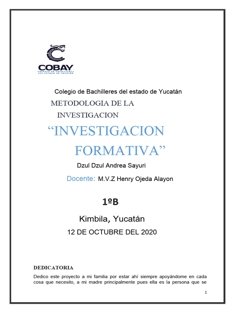 Investigacion Formativa | PDF | Aprendizaje | Conocimiento