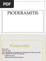 7 Piodermitis. Clase DR | PDF | Septicemia | Enfermedades y trastornos ...