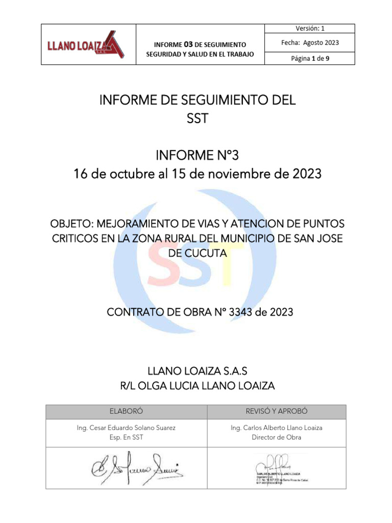 Informe 03 Seguimiento SST | Descargar gratis PDF | La dependencia de sustancias