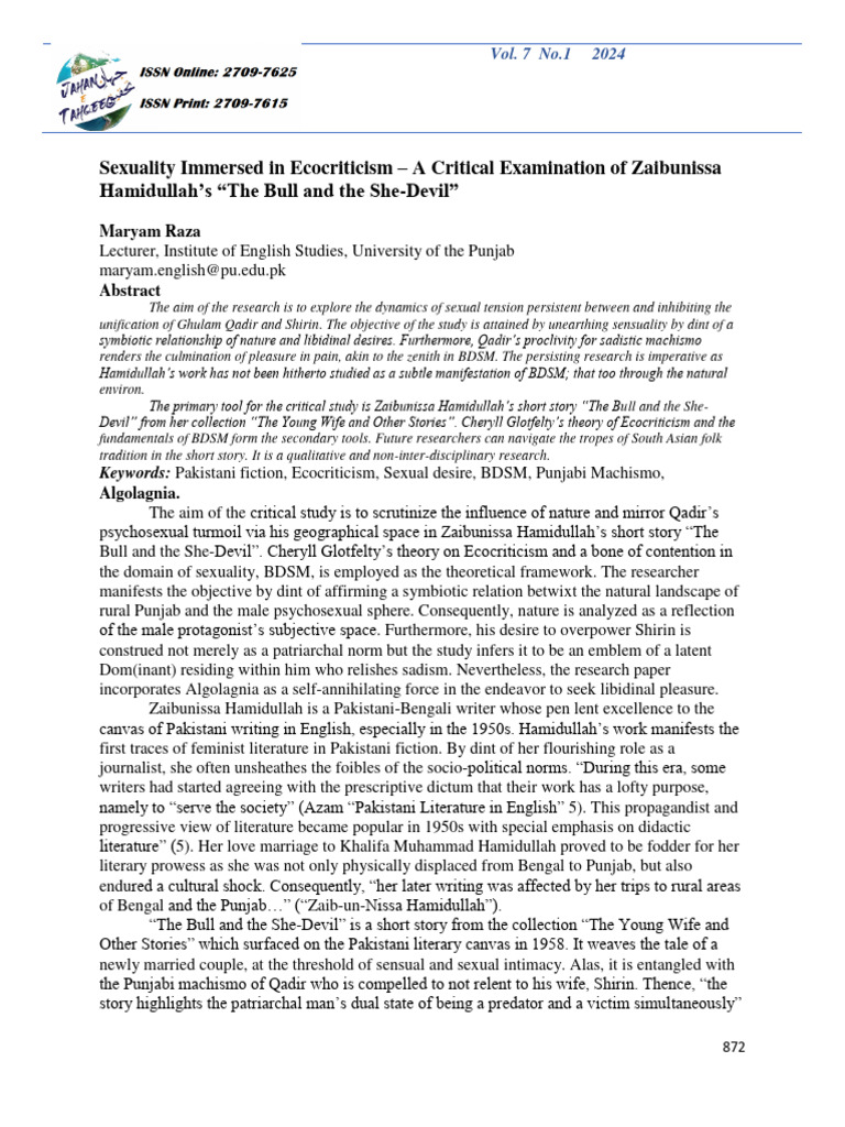 BDSM and Masculinity in Hamidullah's Work | PDF | Sadomasochism | Bdsm