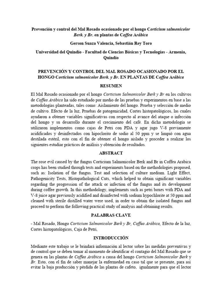 Prevención y Control Del Mal Rosado | PDF | Hongo | café
