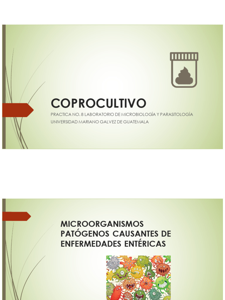 Coprocultivo Practica No 8 Pdf Salmonela Diarrea