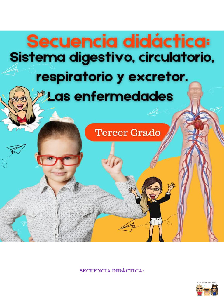 Secuencia Didáctica. Sistema Digestivo, Circulatorio, Respiratorio y ...