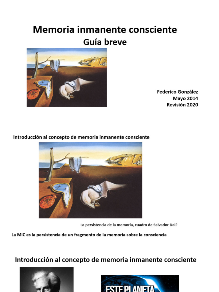 Memoria Inmanente Consciente Guía Breve Pdf Memoria Hora 