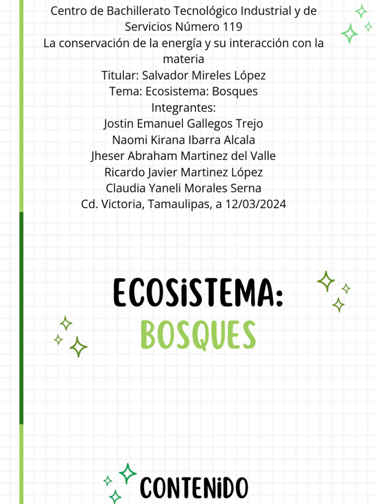 Ecosistema Bosques | PDF | Los bosques | Arboles