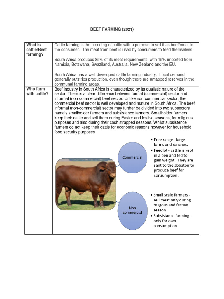 Beef Farming Geography GR12 Case Study Final 190821 | PDF | Agriculture ...
