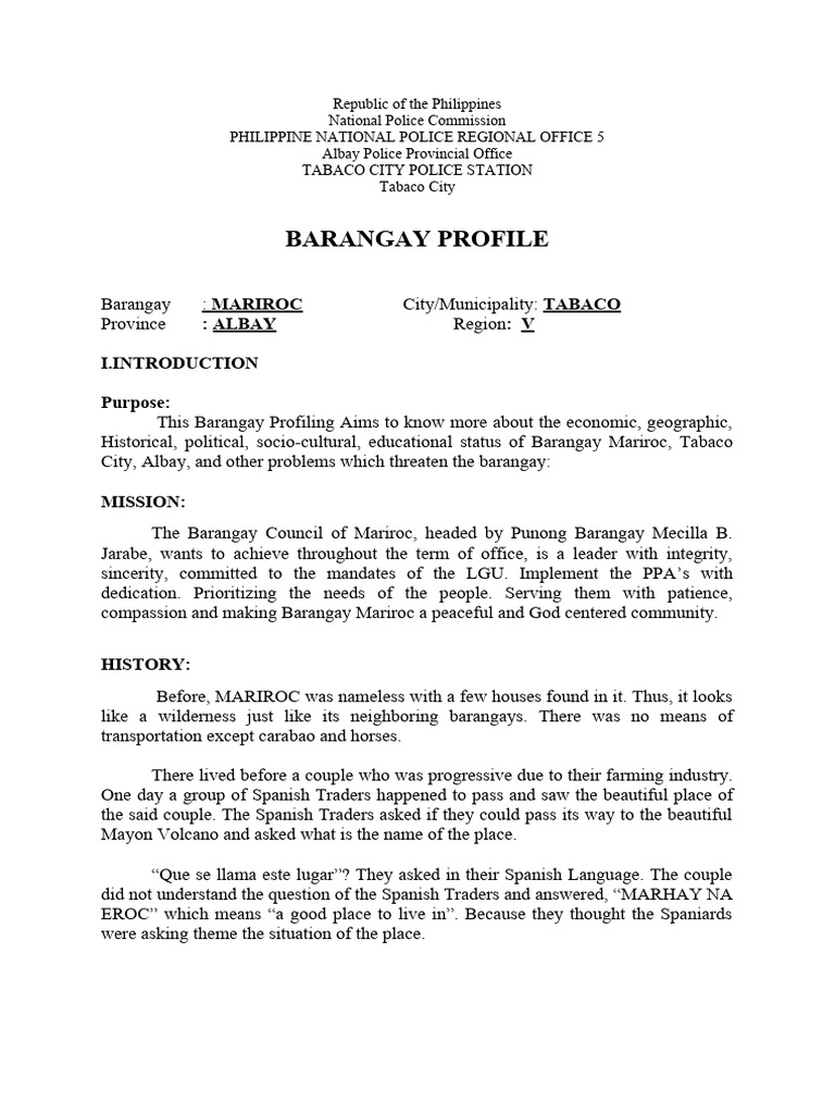 Barangay Profile (Sub. To PNP) | PDF